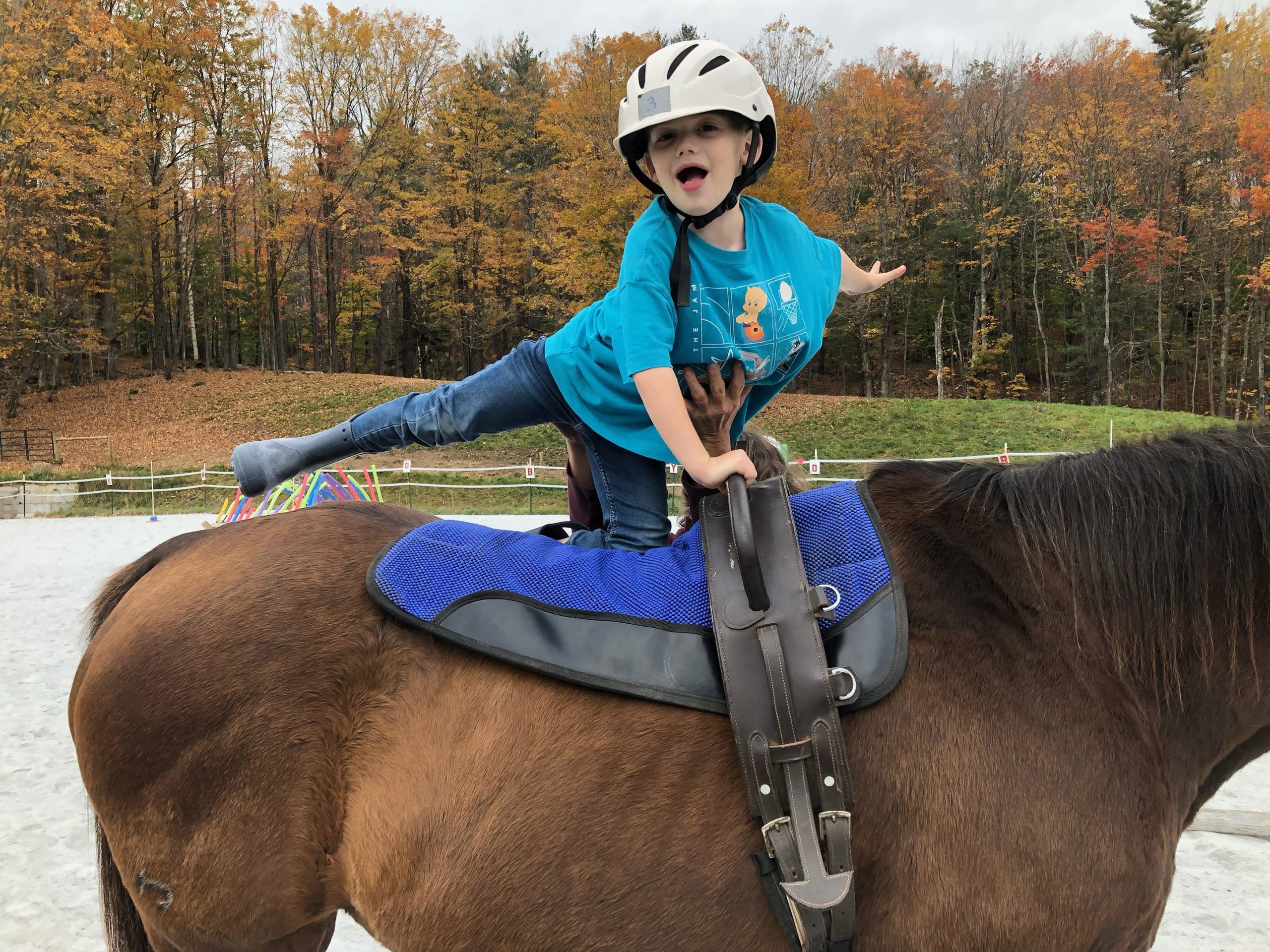 FAQ - Reinbow Riding Center